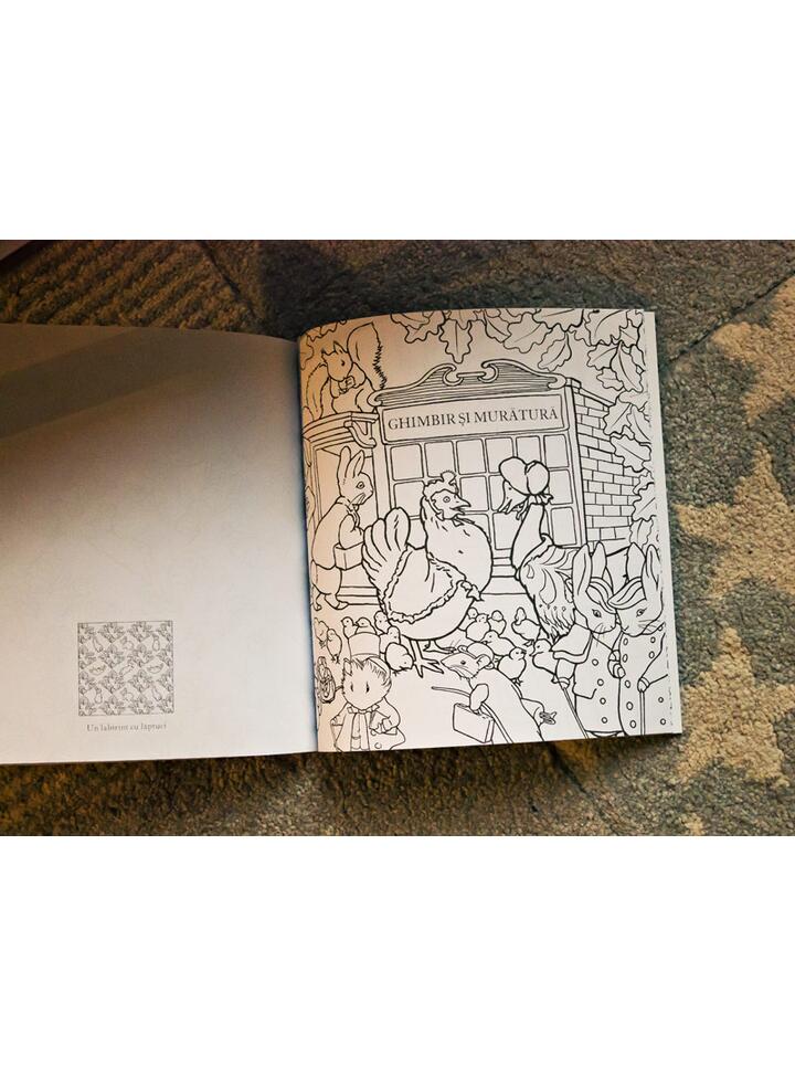 Beatrix Potter - carte de colorat - Beatrix Potter - hardcover ...