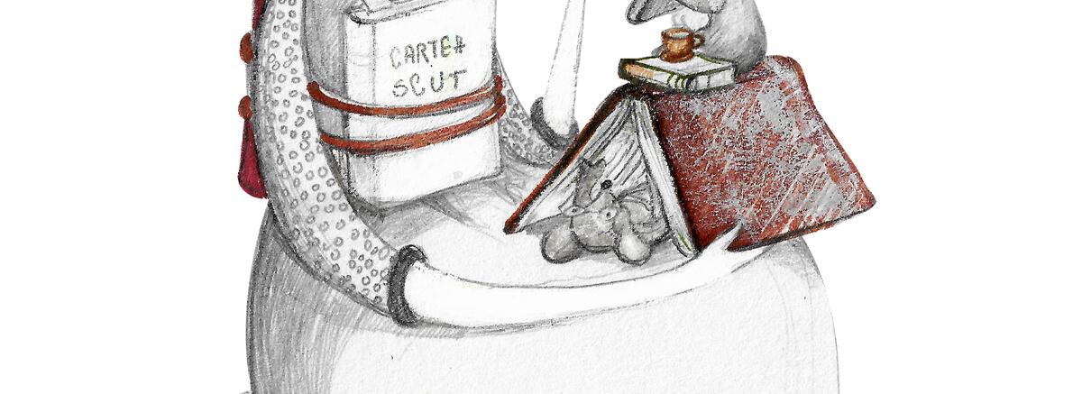 Cartea. Ghid de utilizare | Simona Sava & Anca Smărăndache - Editura Grafic
